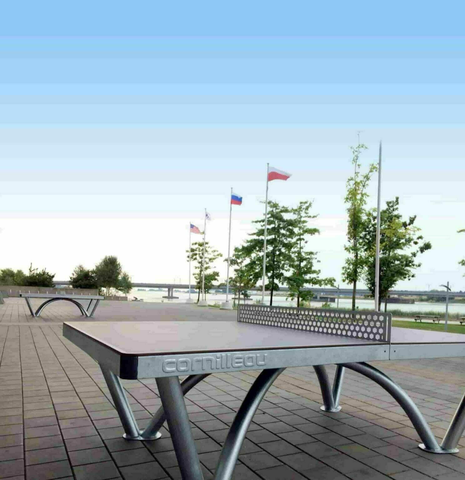 Ping Pong Table Dimensions: Learn the Official Size & More!